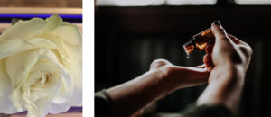 Top, Middle and Base Notes, What Does That Mean?