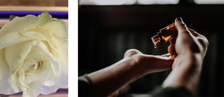 Top, Middle and Base Notes, What Does That Mean?